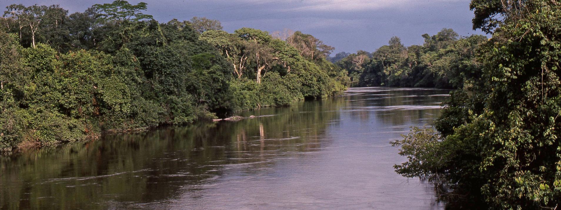L'impressionnant stock d’eau du Congo enfin évalué - Géo Canal Info