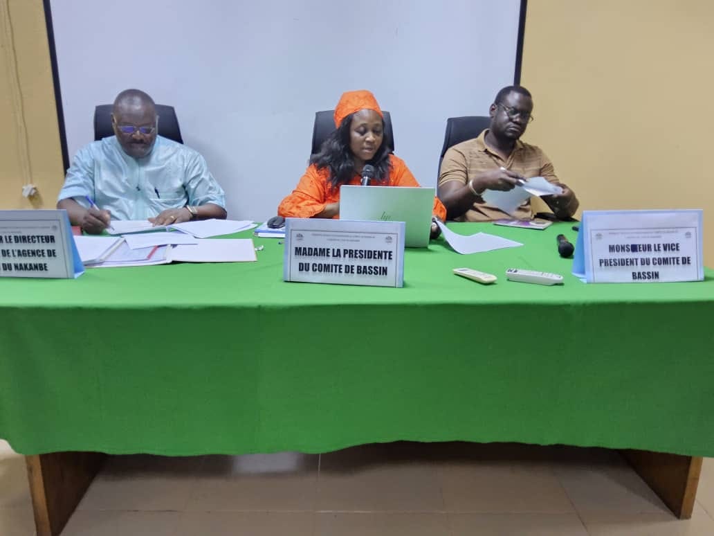 Burkina-1ere session extraordinaire du Comité de Bassin : le rapport ...